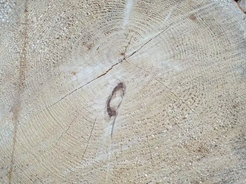 Risse im Holz bei Gartenmöbeln: Ursachen & Lösungen
